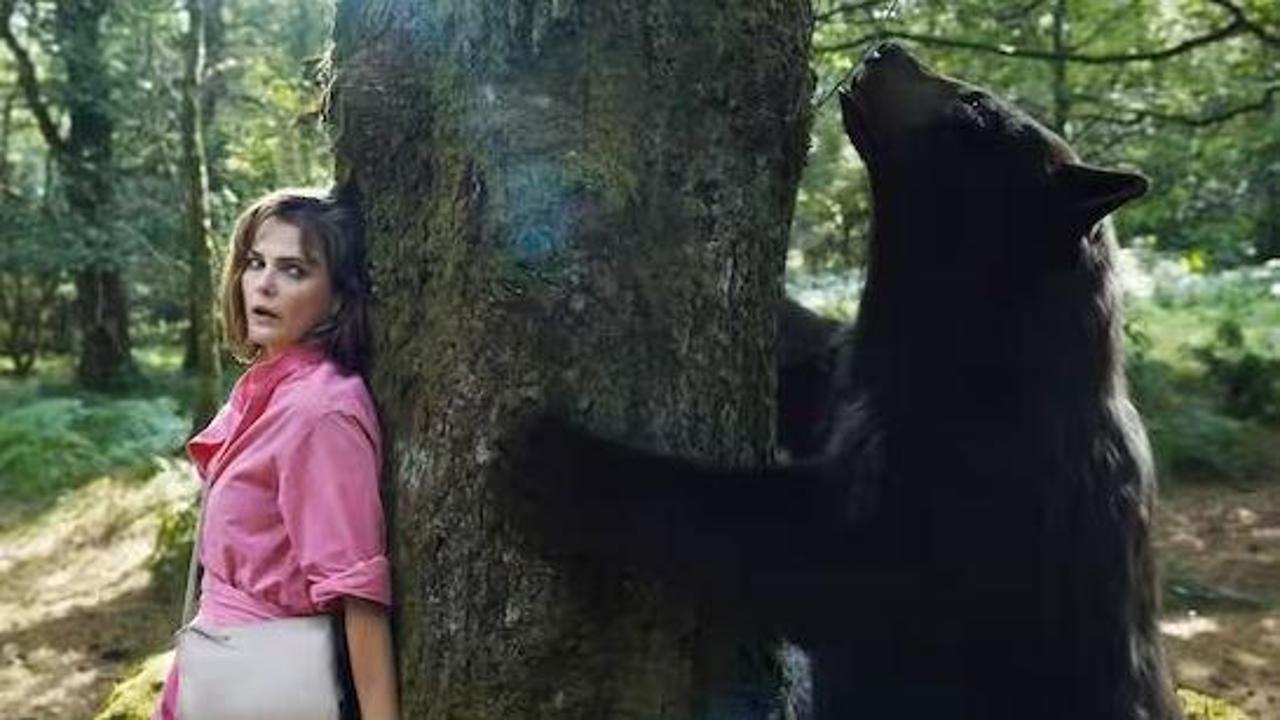 Cocainorso, il film sull'orso killer cocainomane esce in Italia: cosa ...