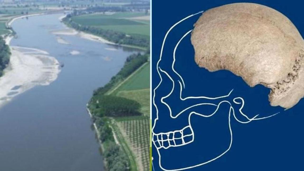 Frammento di teschio dell'homo sapiens trovato nel fiume Po - Il Secolo XIX
