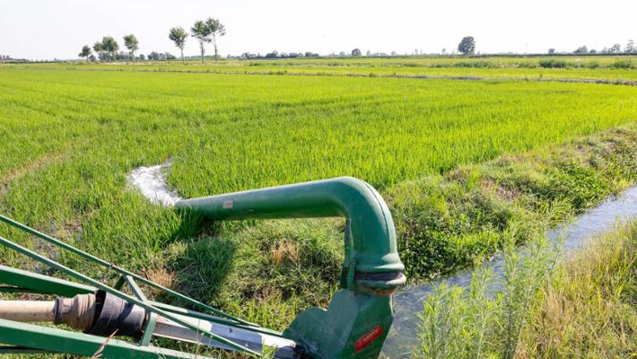 A Pagliate l’acqua della falda abbonda: due aziende chiedono di scavare ...