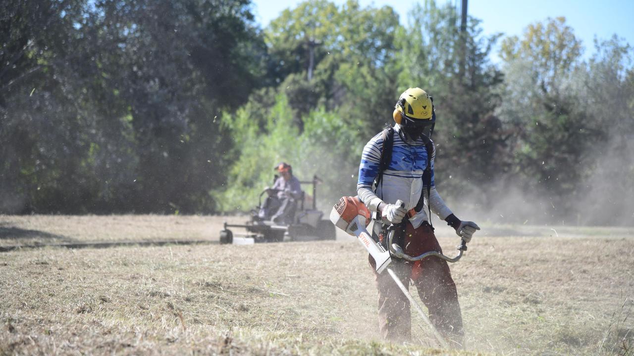 Erba alta a Torino, in azione 14 squadre con droni - La Stampa