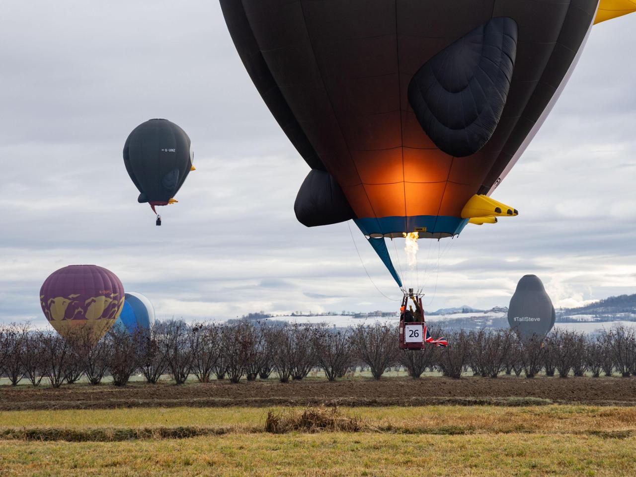 Le mongolfiere regine dell'aria al Raduno dell'Epifania a Mondovì - La ...