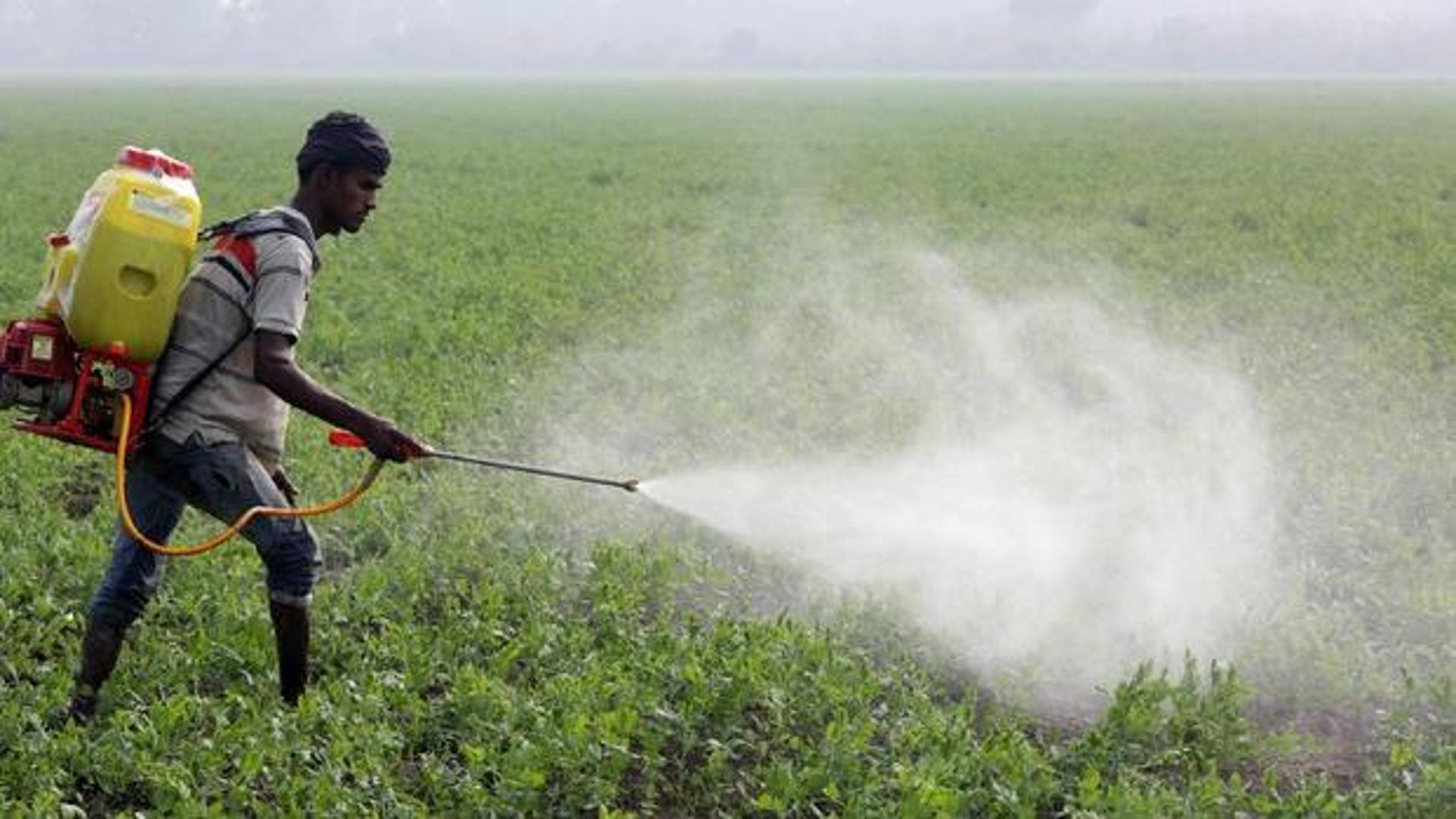 Pesticidi: cosa cambia con le nuove regole e quali sono gli effetti ...