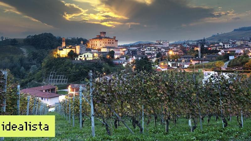 Viaggio nel cuore dei vigneti: 5 zone del Piemonte dove degustare i ...