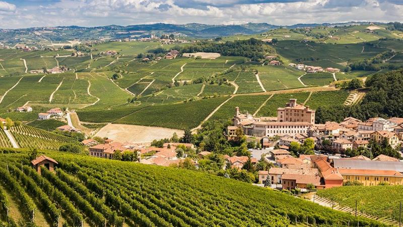 Viaggio nel cuore dei vigneti: 5 zone del Piemonte dove degustare i ...