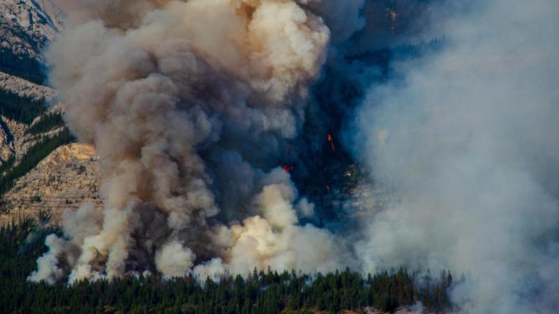 Il fumo degli incendi che stanno devastando il Canada è arrivato in ...