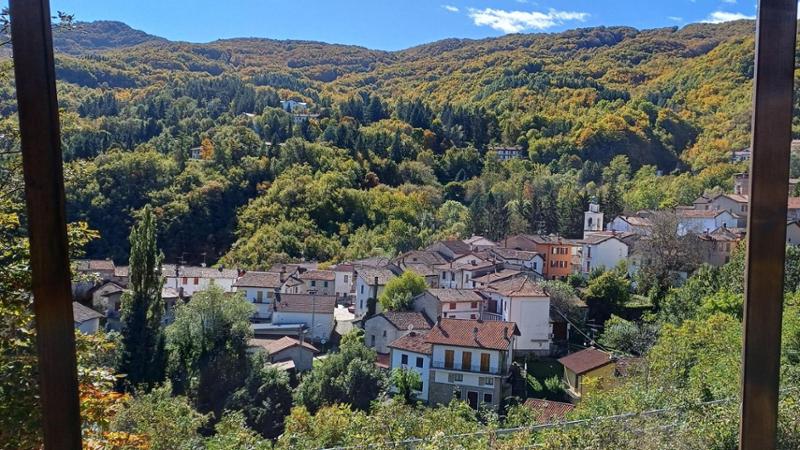 Caldirola, ecco la camminata nel bosco per ammirare il foliage - La Stampa