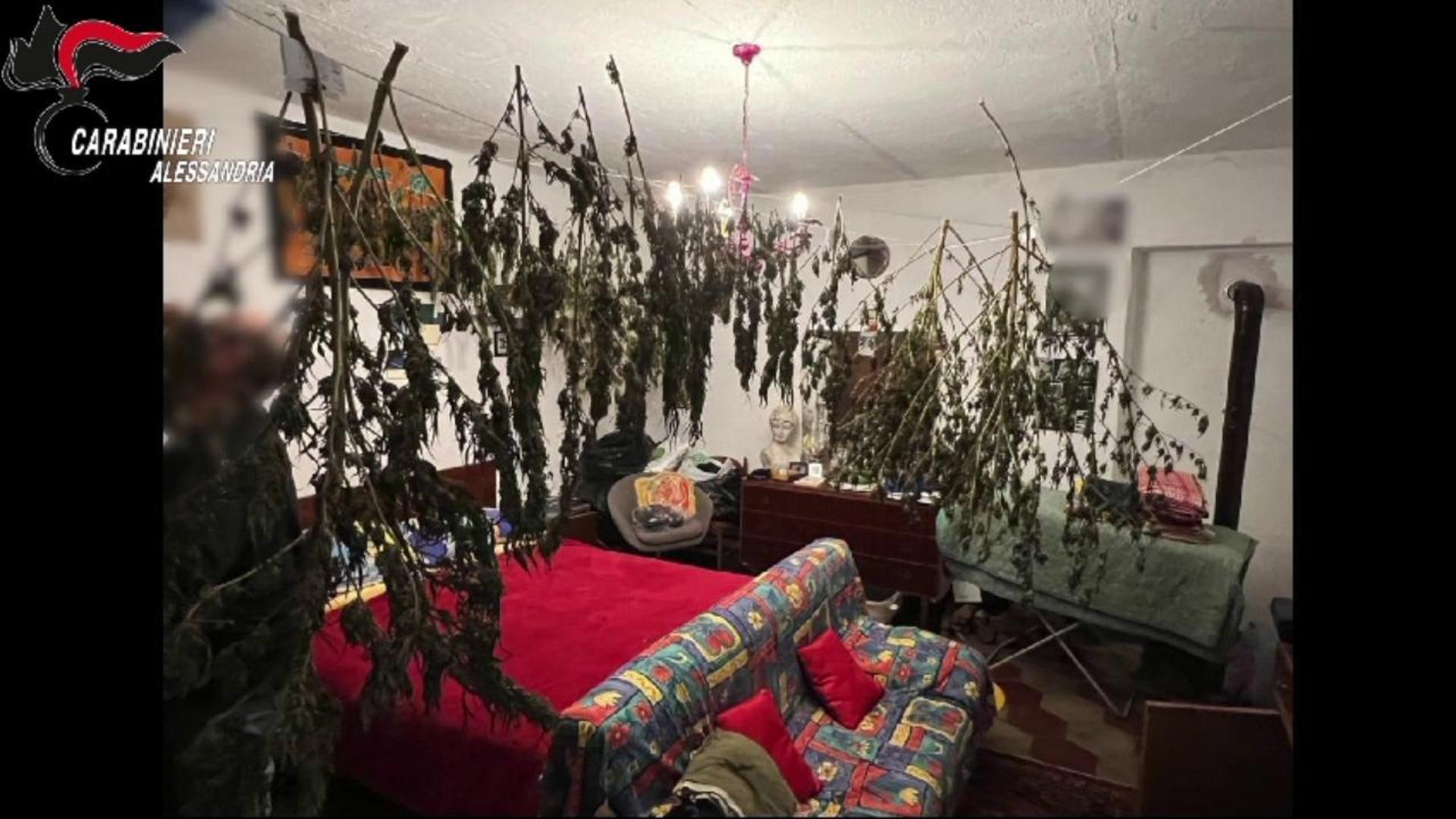 Ecco dove teneva la droga la donna arrestata con 10 kg di marijuana ...