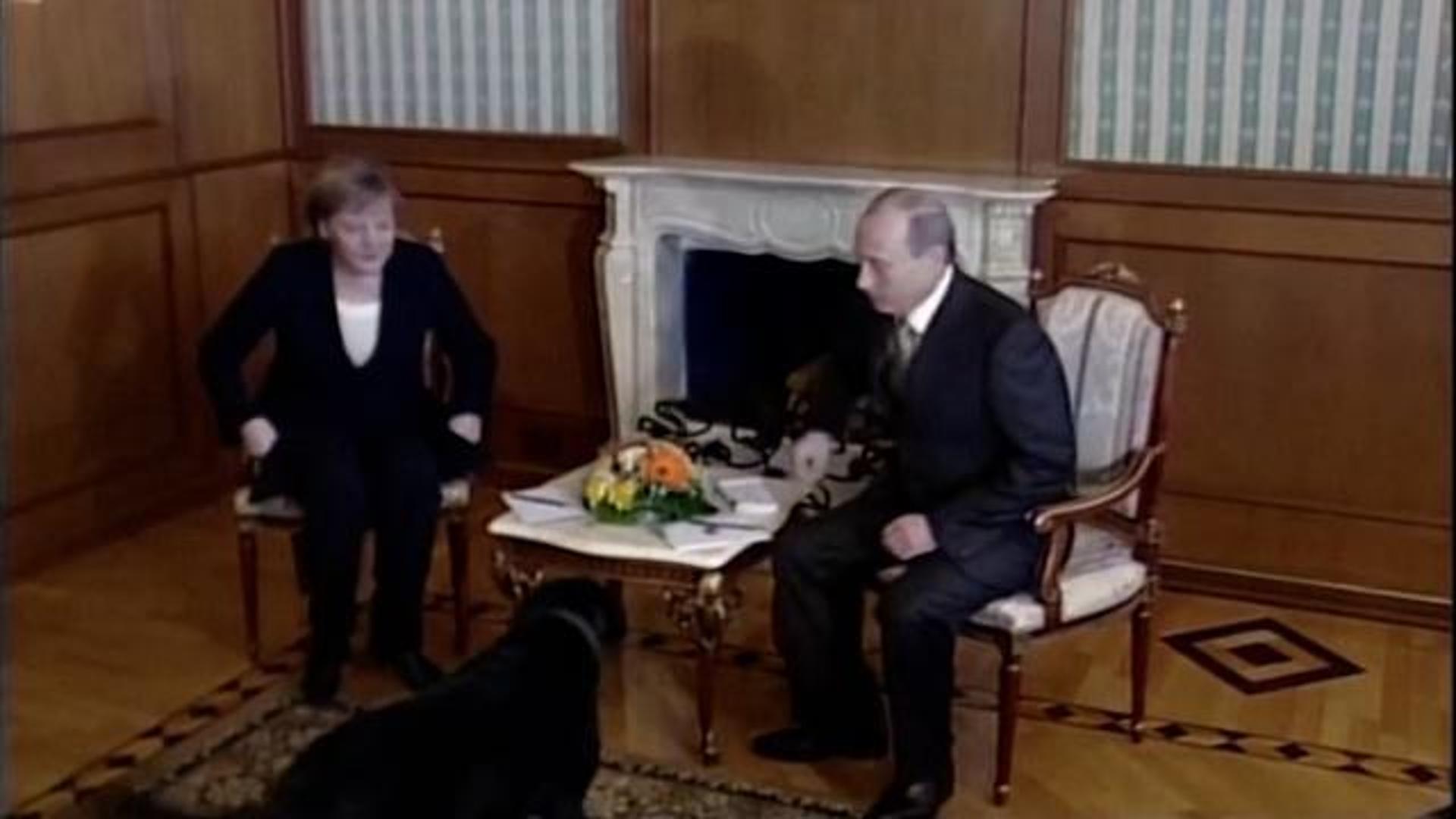 Putin chiede scusa ad Angela Merkel: "Non sapevo avesse paura dei cani ...