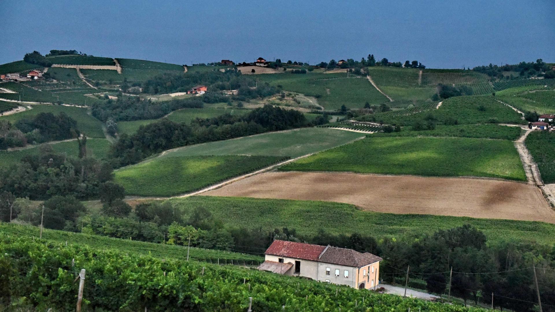 La magia delle colline e il miracolo dell’Unesco - La Stampa