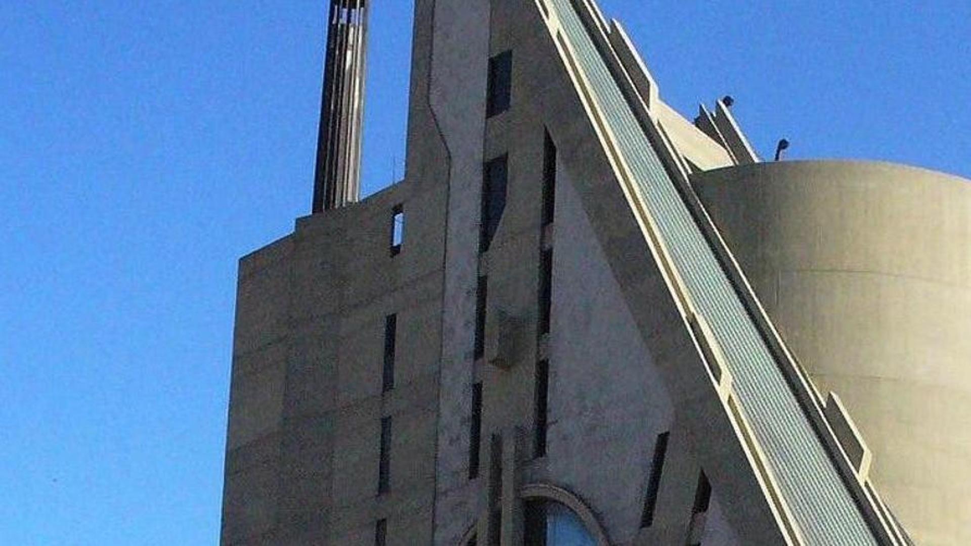 Rialto, cane paralizzato per colpa di una freccia: vicino di casa ...
