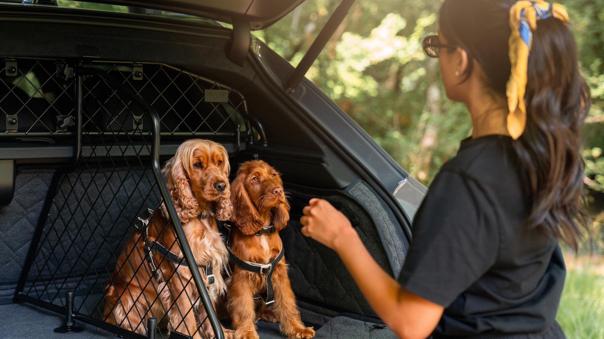 Bentley, la più amata dagli animali - La Stampa