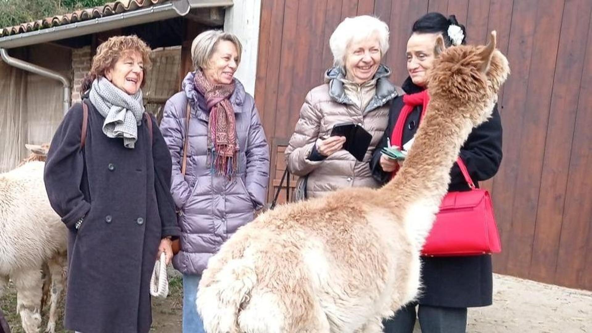 Addio alla fabbrica grazie ad Alpacone: “Ora produciamo capi unici con ...