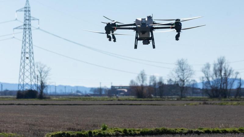Drone caduto SFM1 oggi: ritardi treni e bus sostitutivi Piemonte - La ...