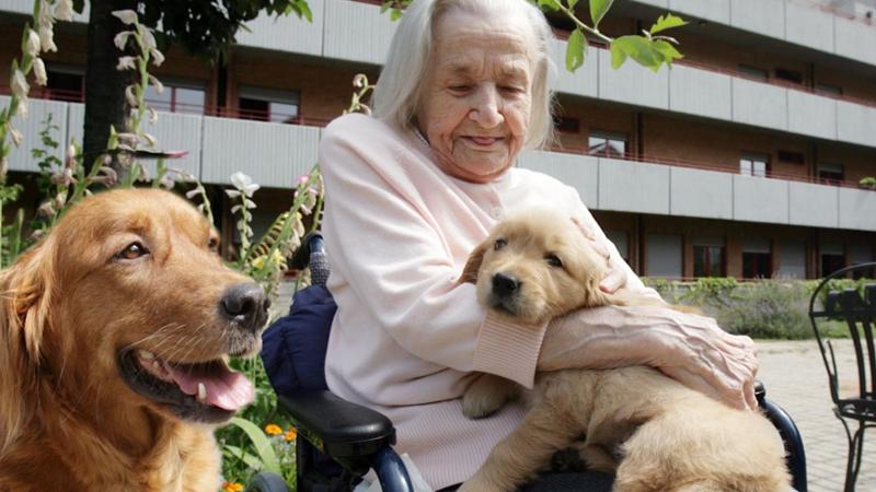 La salute degli anziani protetta da cani e gatti - La Stampa