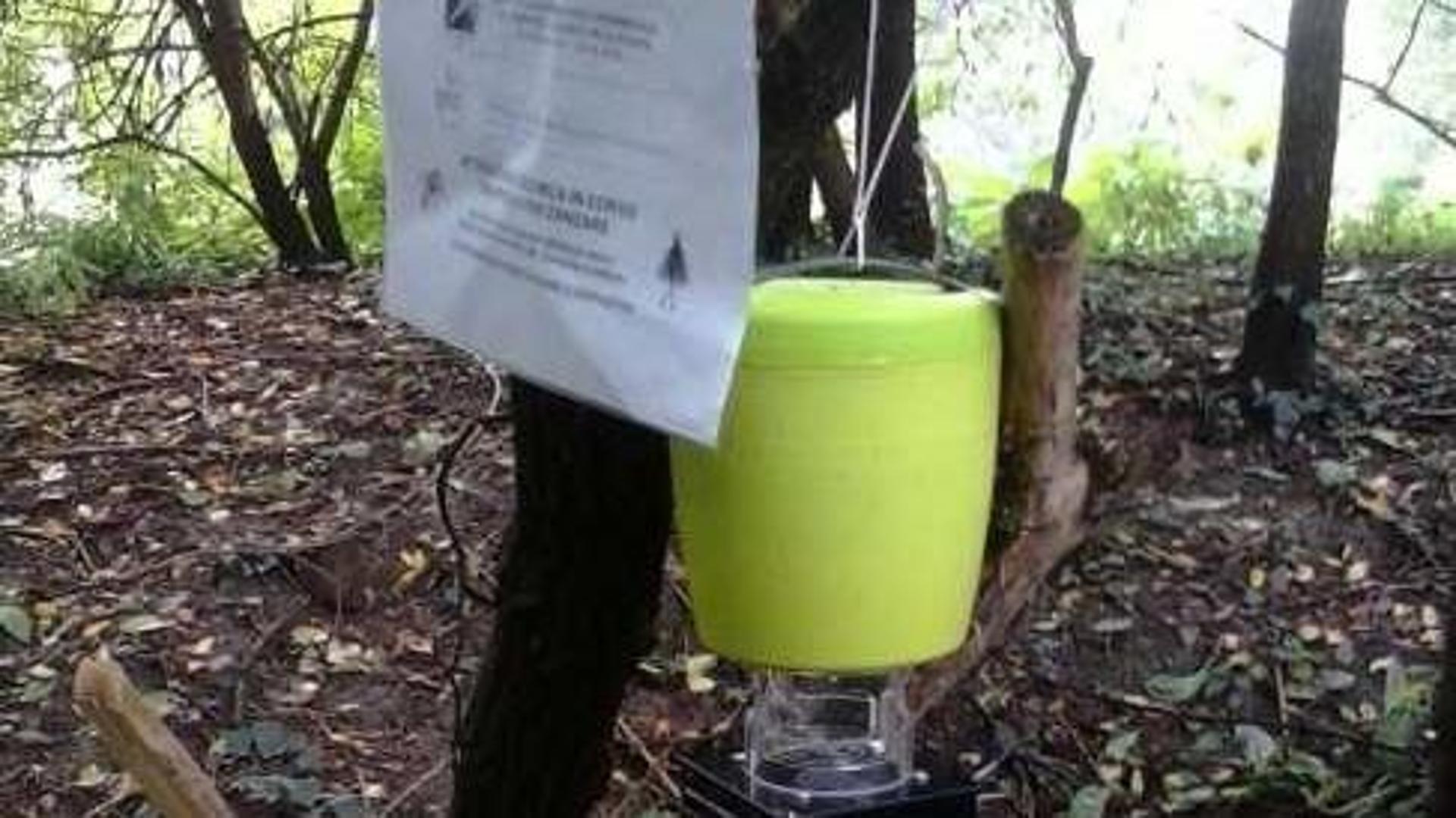 Scatta il piano di prevenzione per vigilare sul virus del Nilo - La Stampa