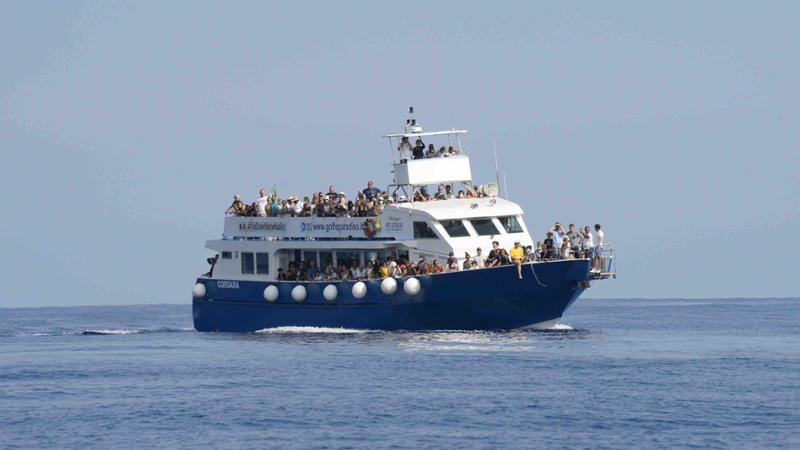 Whale-watching, crociere al via sabato: si salpa da Andora, Imperia e ...