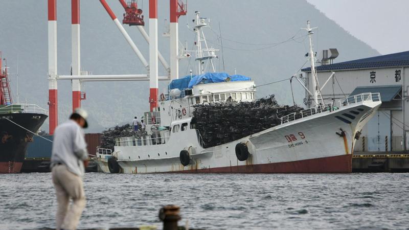 Media di Seul: 20 morti su un cargo della flotta fantasma nordcoreana ...